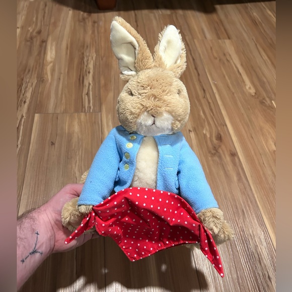 Peter Rabbit | Toys | Plush Peter Rabbit Singing Moving Baby Toy | Poshmark